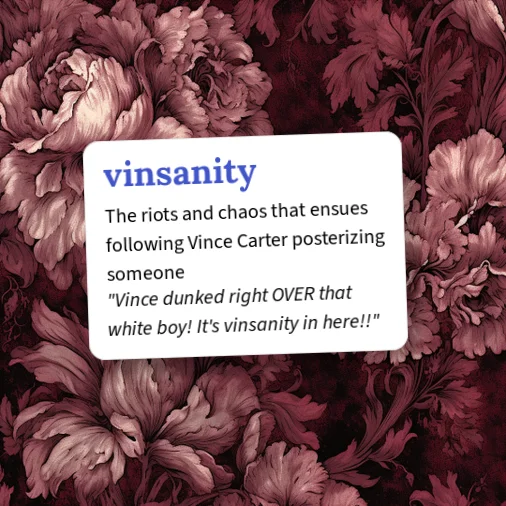 Urban Dictionary: vinsanity