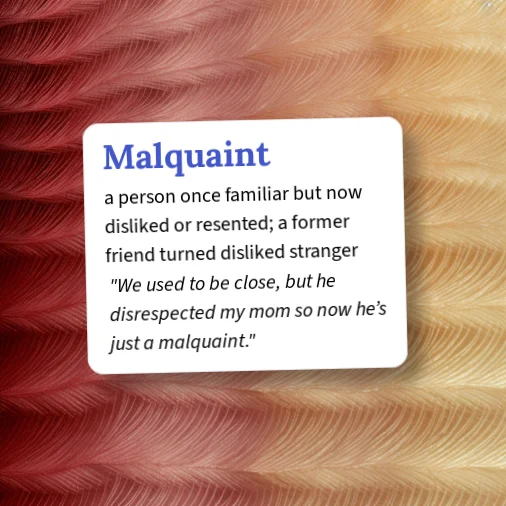 Urban Dictionary: Malquaint