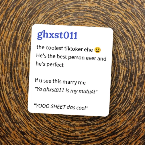 Urban Dictionary: ghxst011