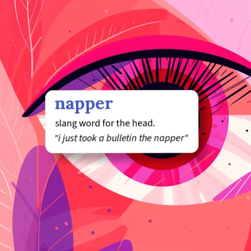 Urban Dictionary: napper
