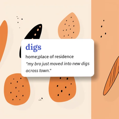 Urban Dictionary: digs