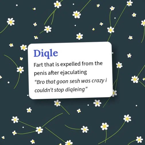 Urban Dictionary: Diqle