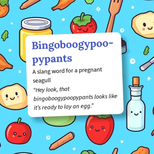 Urban Dictionary: Bingoboogypoopypants