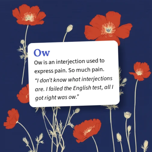 Urban Dictionary: Ow