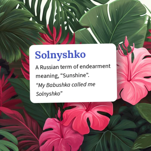 Urban Dictionary: Solnyshko