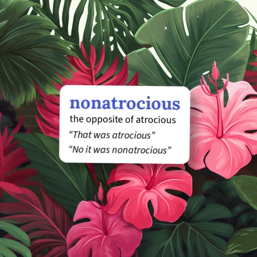 Urban Dictionary: nonatrocious