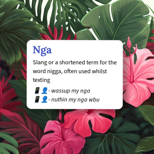 Urban Dictionary: nga'