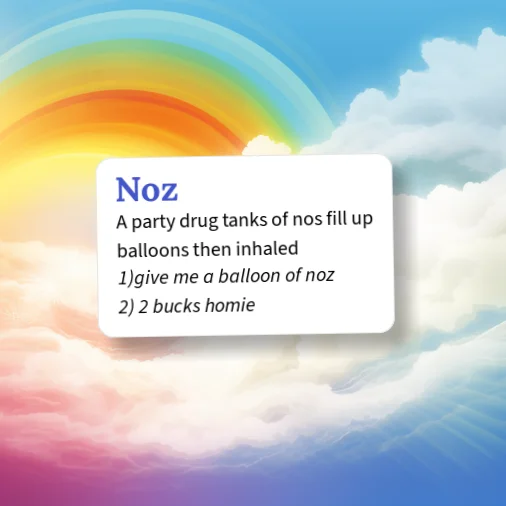 Urban Dictionary: Noz