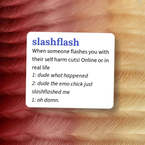 Urban Dictionary: slashflash