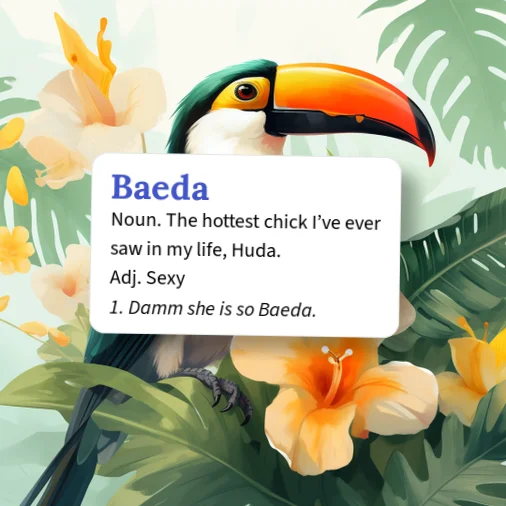 Urban Dictionary: Baeda