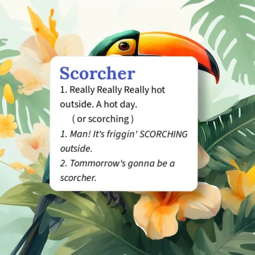 Urban Dictionary: Scorcher
