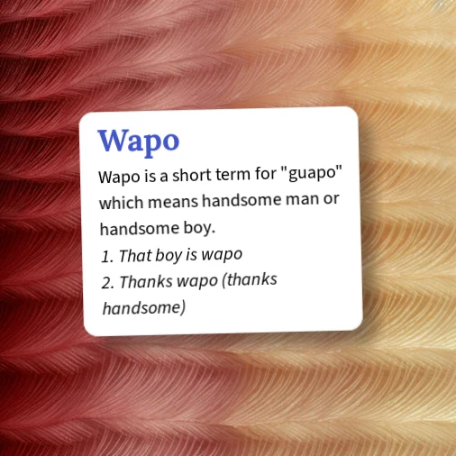 Urban Dictionary: Wapo