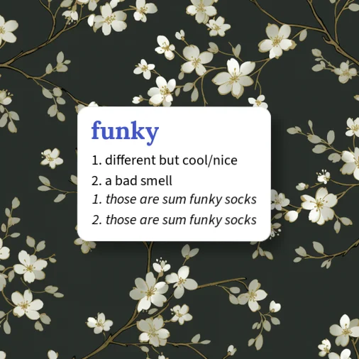 Urban Dictionary: funky
