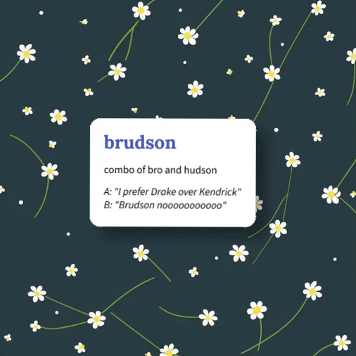 Urban Dictionary: brudson