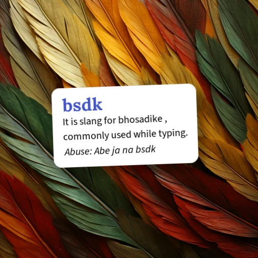 Urban Dictionary: Bsdk