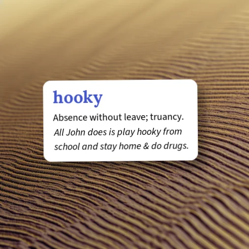 Urban Dictionary: hooky
