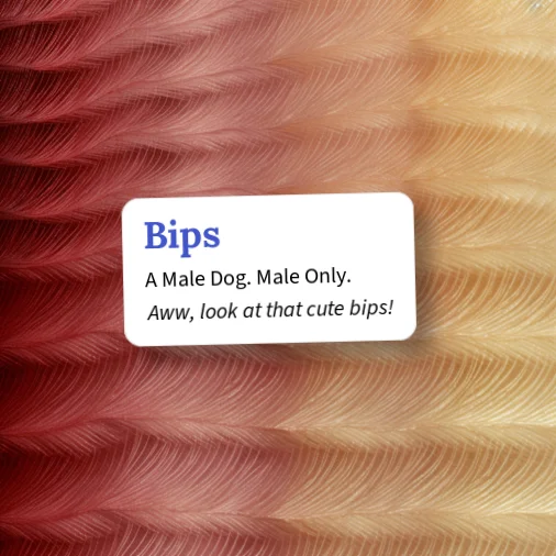 Urban Dictionary: Bips