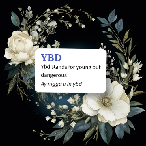 Urban Dictionary: YBD