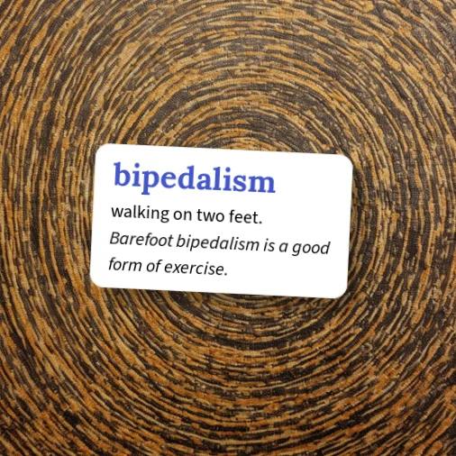 Urban Dictionary: Bipedalers