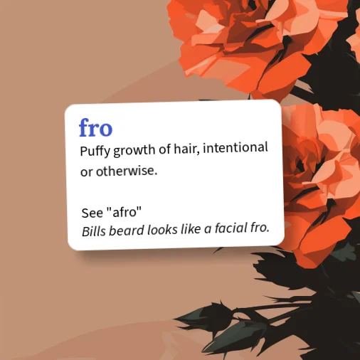 Urban Dictionary: fro
