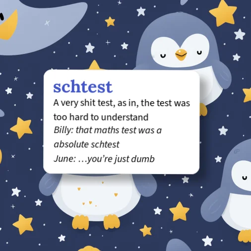Urban Dictionary: schtest