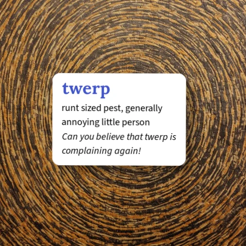 Urban Dictionary: twerp