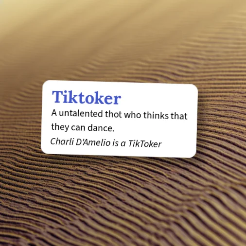 Urban Dictionary: Tiktoker