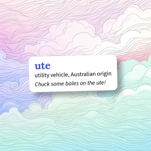 Urban Dictionary: ute