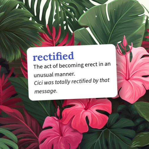Urban Dictionary: rectified