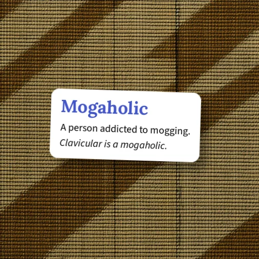 Urban Dictionary: Mogaholic