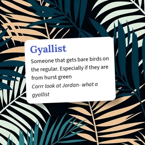 Urban Dictionary: Gyallist