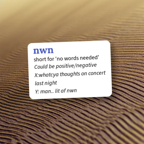 Urban Dictionary: nwn