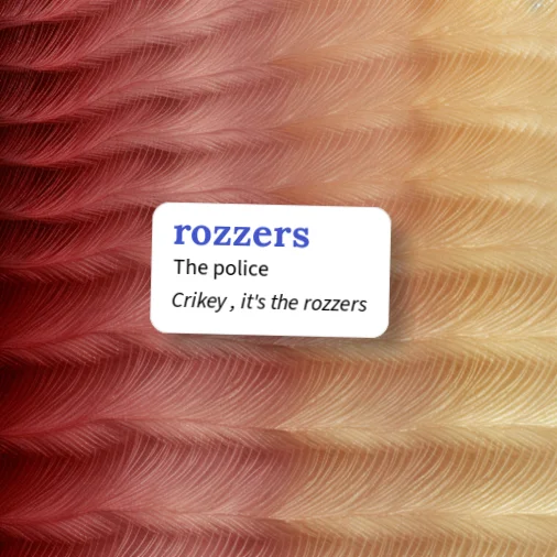 Urban Dictionary: rozzers