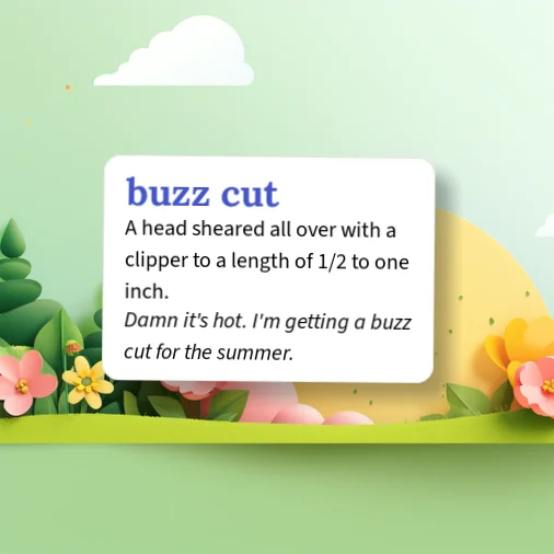 Urban Dictionary: buzz-cut