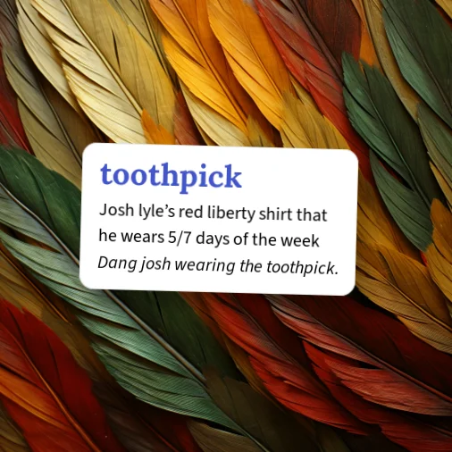 Urban Dictionary: toothpick