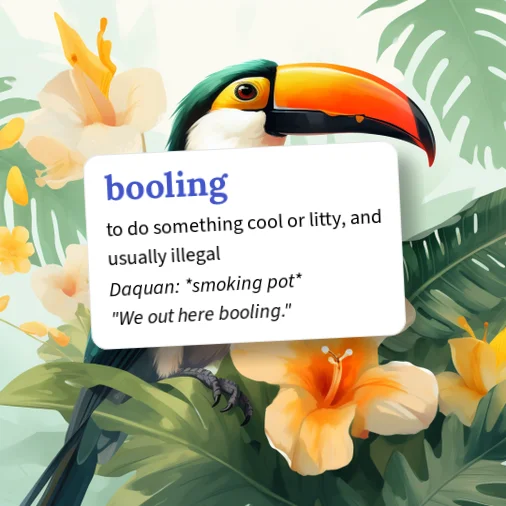 Urban Dictionary: booling