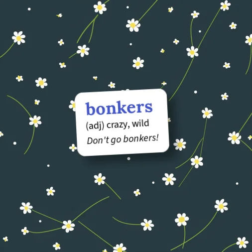 Urban Dictionary: bonkers