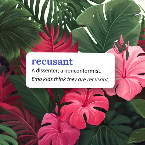 Urban Dictionary: Recusar