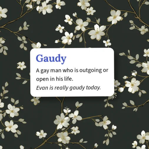 Urban Dictionary: Gaudy