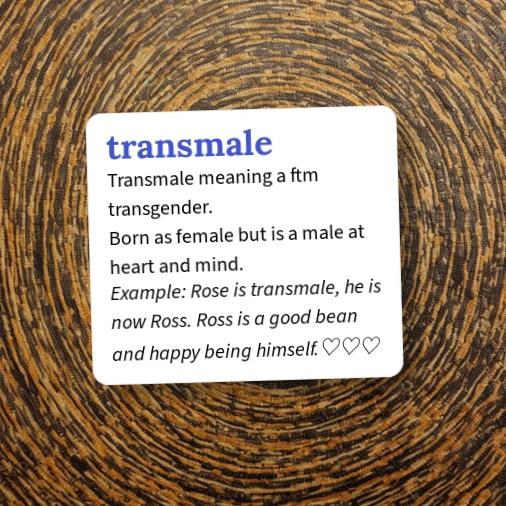 Urban Dictionary: transmale