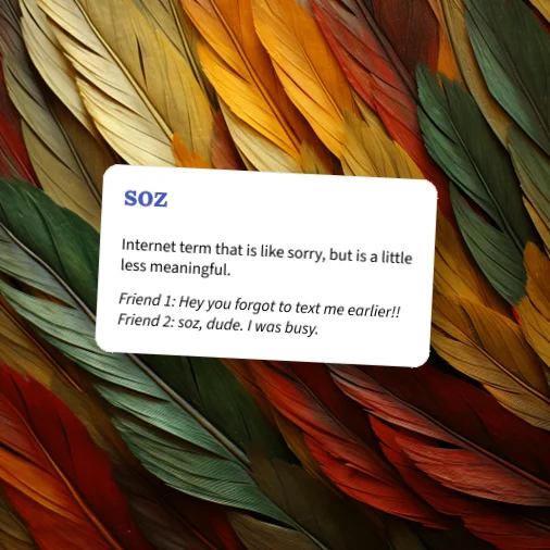 Urban Dictionary: soz