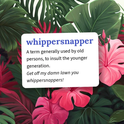 Urban Dictionary: whippersnapper
