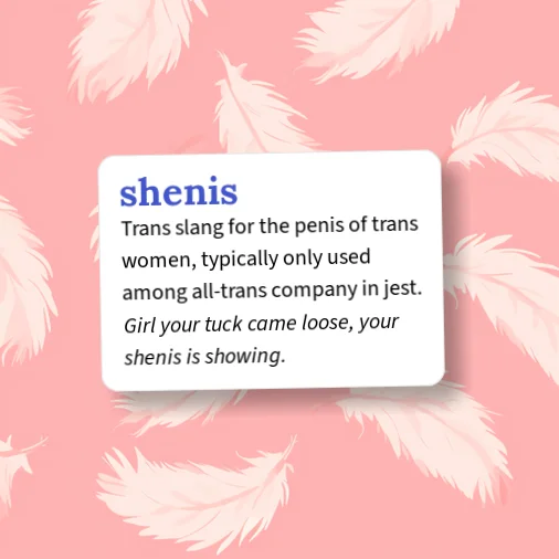Urban Dictionary: shenis