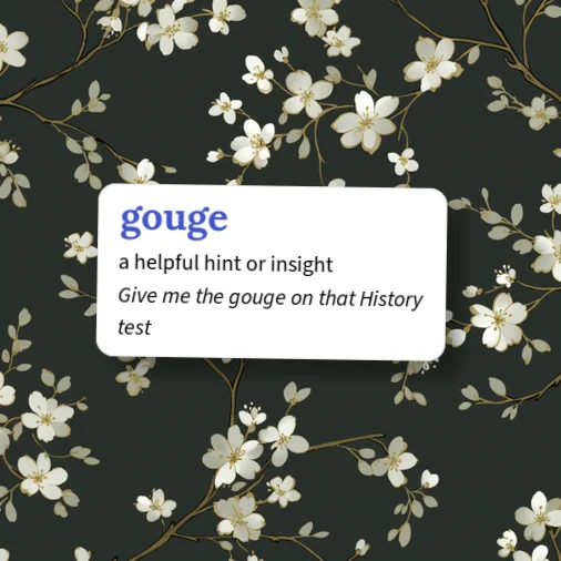 Urban Dictionary: gouge