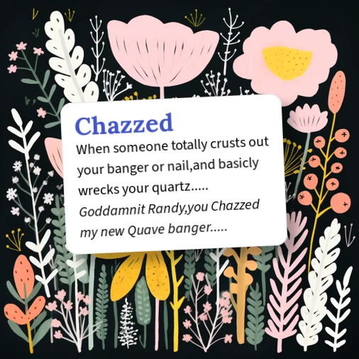 Urban Dictionary: Chazzed