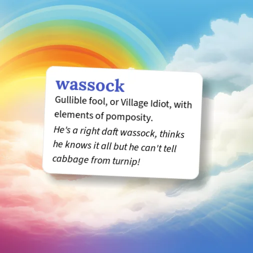 Urban Dictionary: wassock