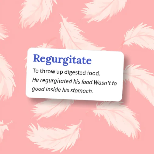 Urban Dictionary: Regurgitate