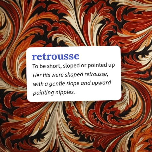 Urban Dictionary: retrousse