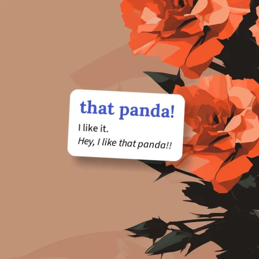 Urban Dictionary: that Panda