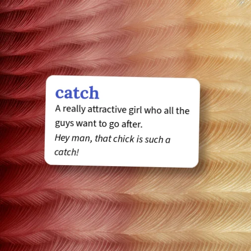 Urban Dictionary: catch